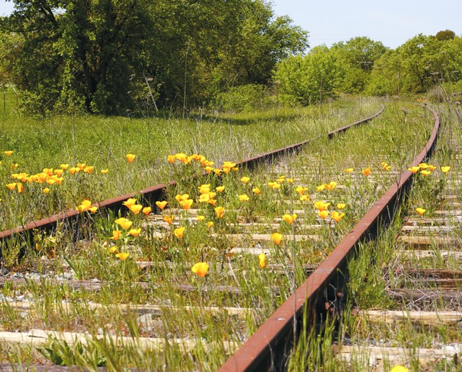 The Latest Setback for Rails-to-Trails is Courtesy of the US Supreme ...